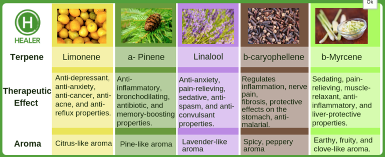Terpenes 101: Understanding Cannabis Terpenes | Trilogy Health